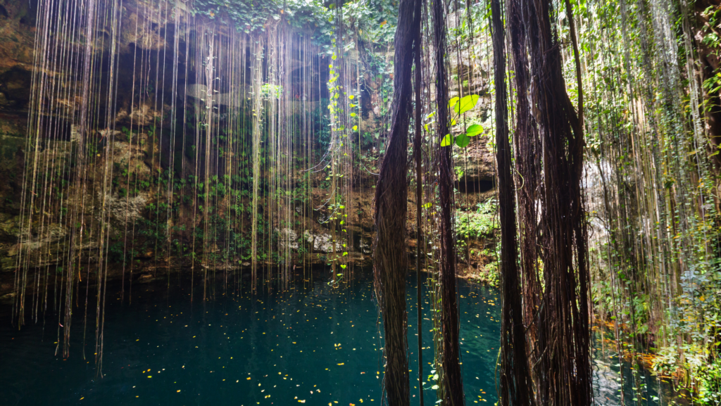 Guide des 10 Meilleurs Cenotes et Lagunes à Visiter dans le Quintana ...